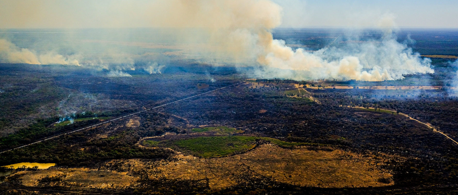 O Inferno No Pantanal Como Afetam E De Onde Vêm As Queimadas Mais